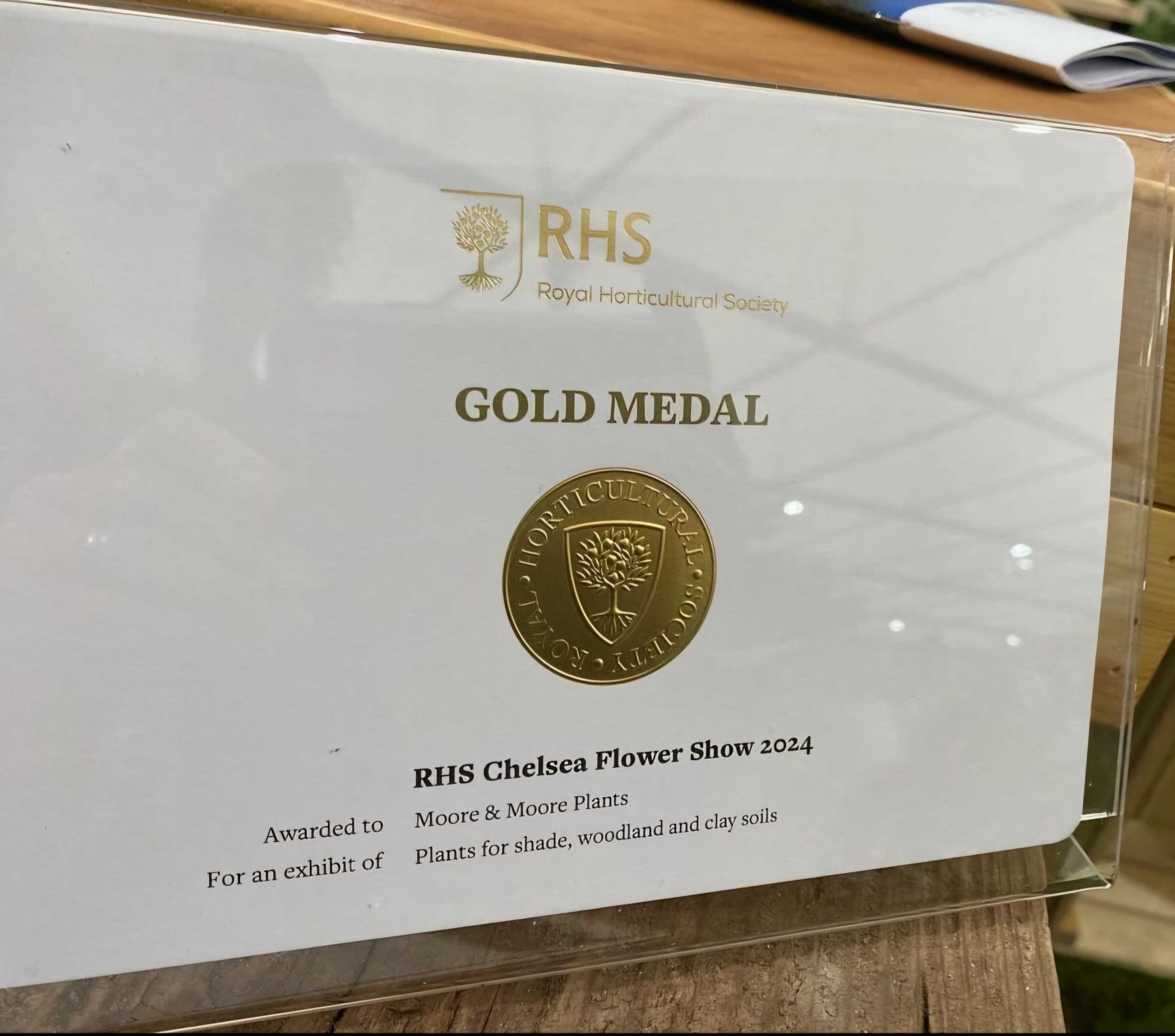 Moore and Moore Plants get a Chelsea Gold! – Essex HPS